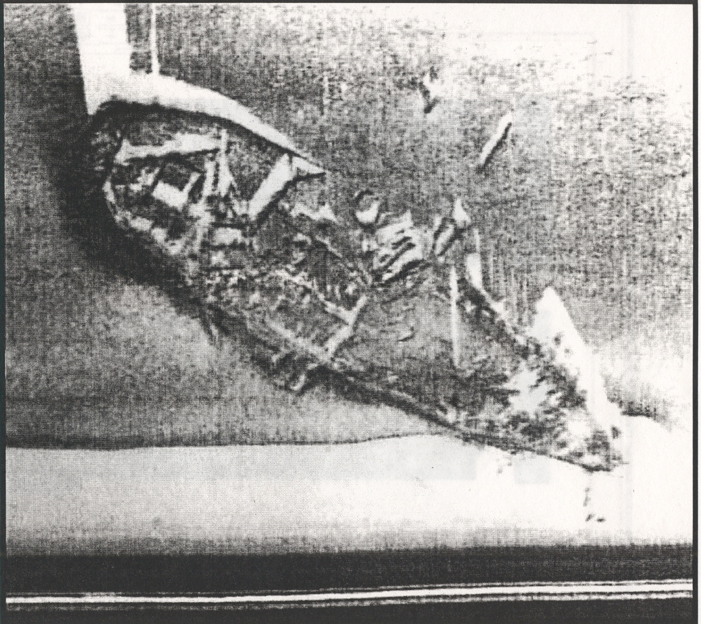 Lightship Crew Remembered - W. Russell Webster